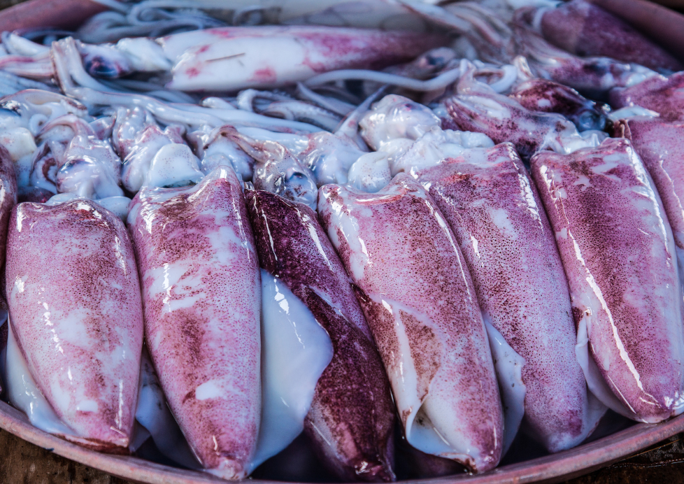 Frutos do Mar do Brasil – fishcode