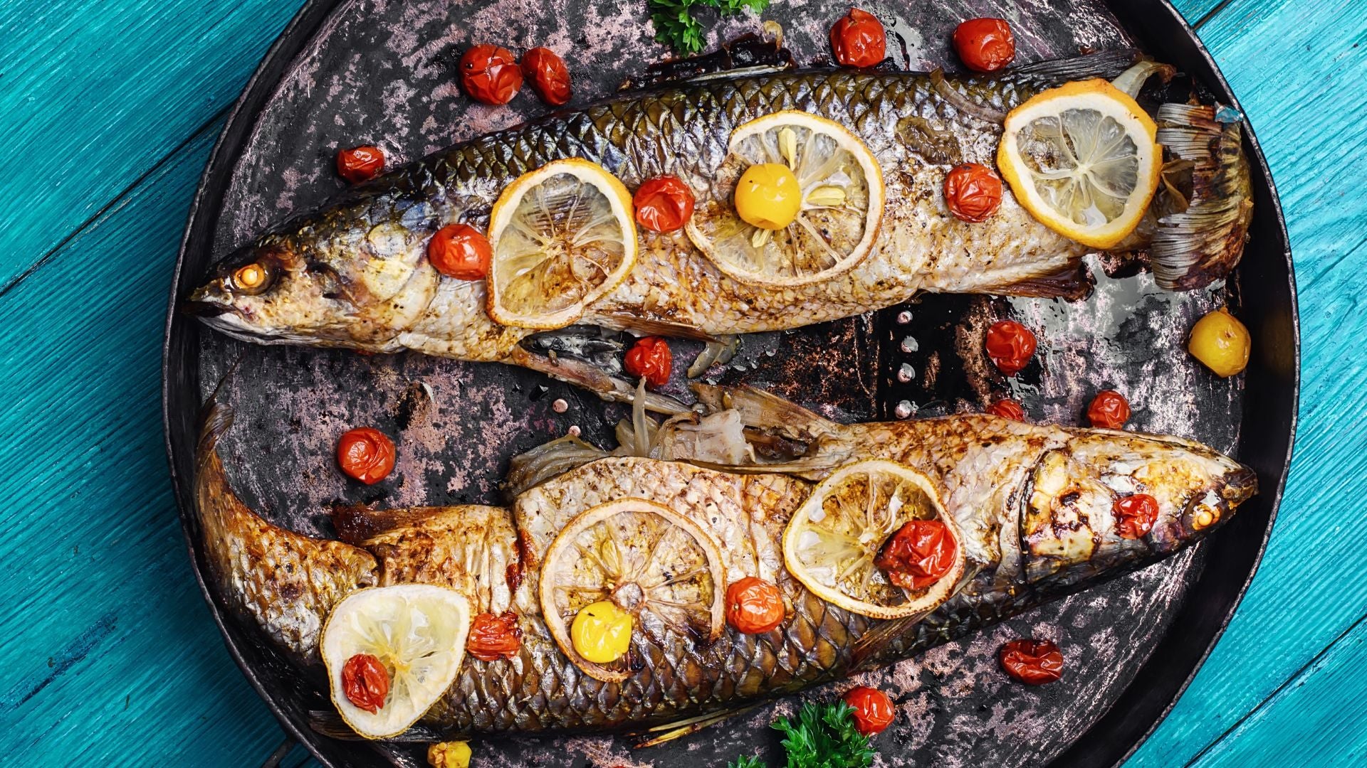 Sobre a Fishcode – fishcode