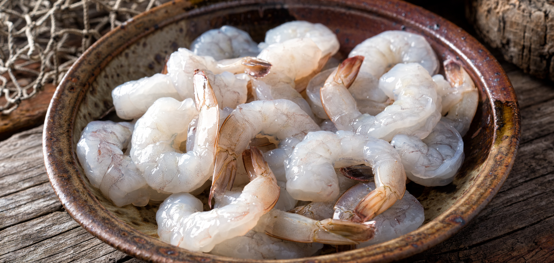 FishCode o melhor peixe na sua mesa. Sustentável e Saboroso. – fishcode