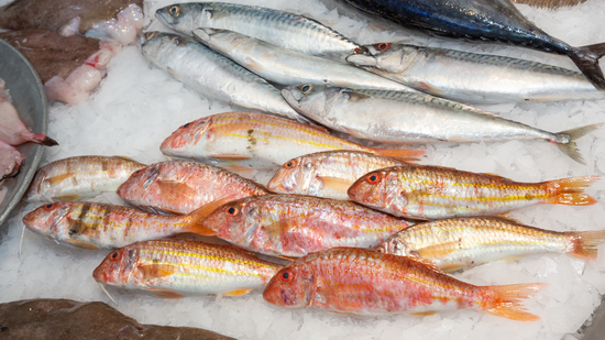 Peixaria perto de mim: Encontre Peixes de Alta Qualidade - FishCode.com ...