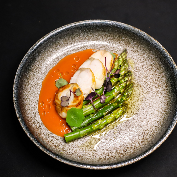 Tamboril - Peixe Sapo – fishcode