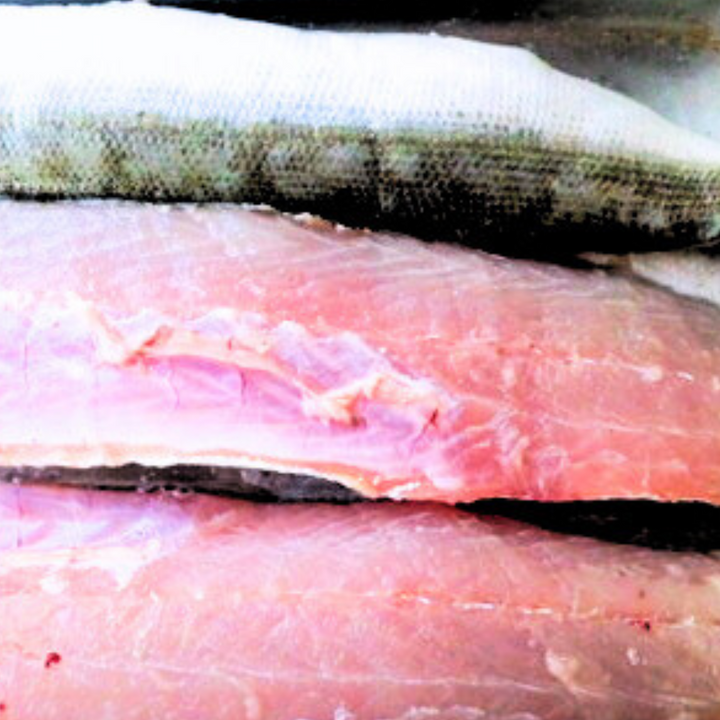 Todos os peixes – Page 4 – fishcode